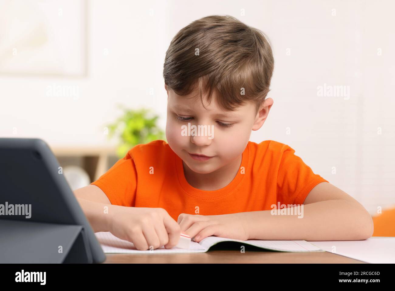 Little boy erasing mistake in his notebook at wooden desk indoors Stock ...