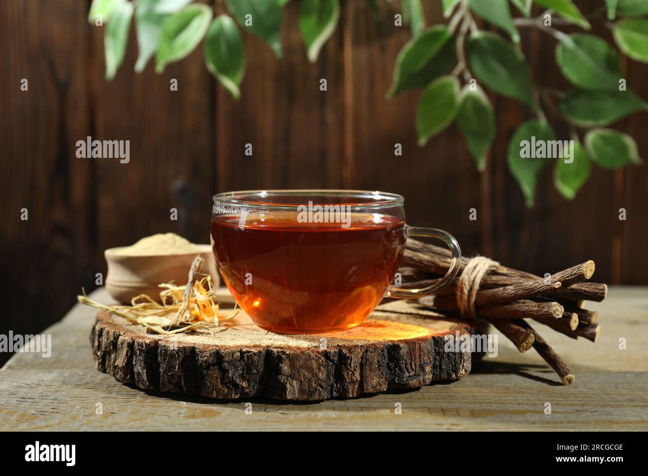Aromatic licorice tea in cup, dried sticks of licorice root and powder ...