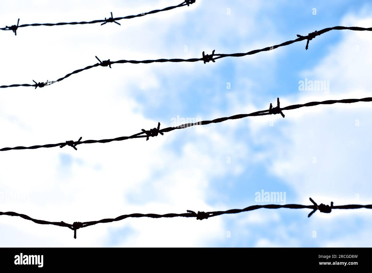 Idea of freedom: barbed wire and sky with clouds Stock Photo - Alamy