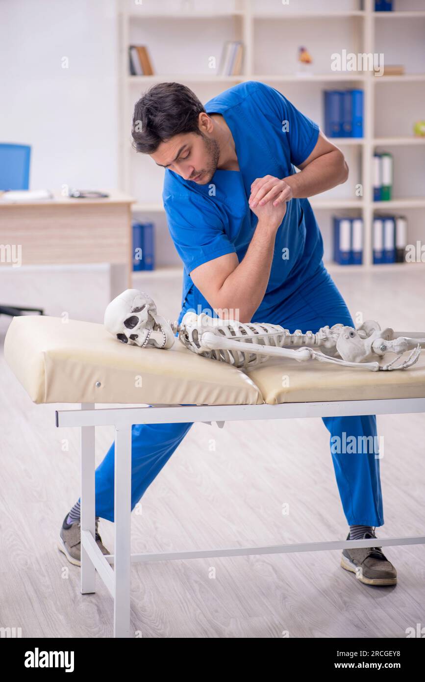 Male osteopath examining human skeleton hi-res stock photography and ...