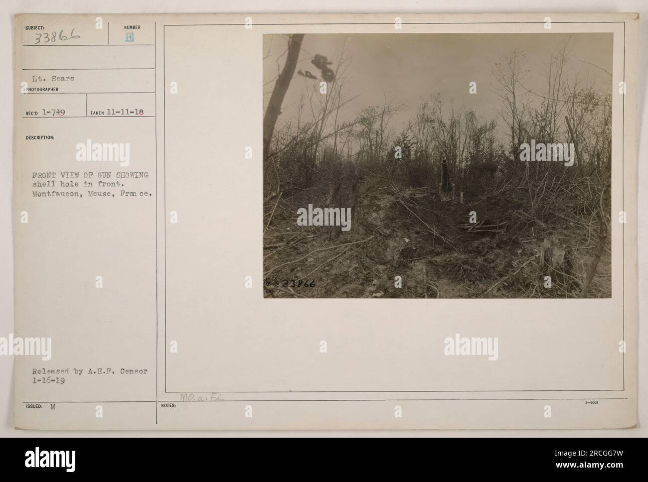 E a shell hole hi-res stock photography and images - Alamy