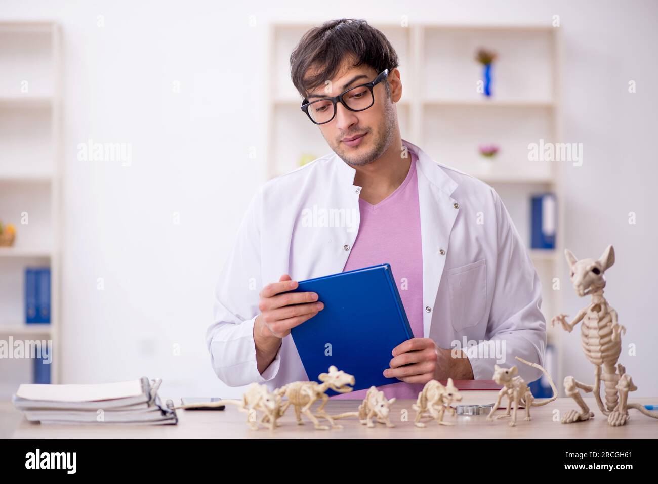 Paleontologist lab hi-res stock photography and images - Alamy