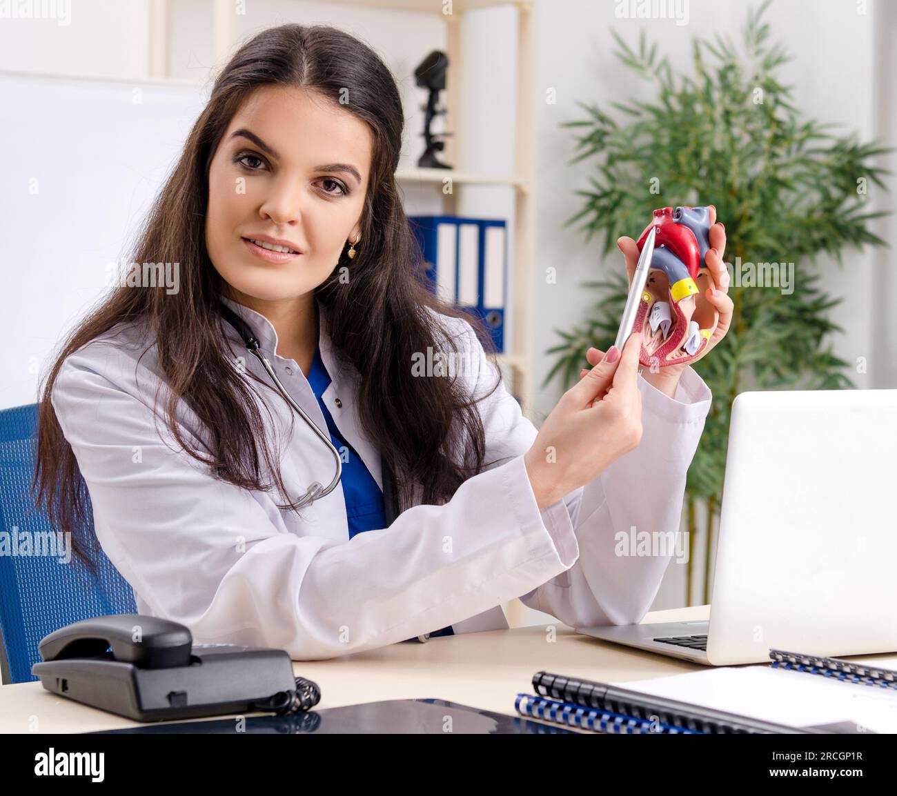 The female doctor cardiologist working in the clinic Stock Photo - Alamy