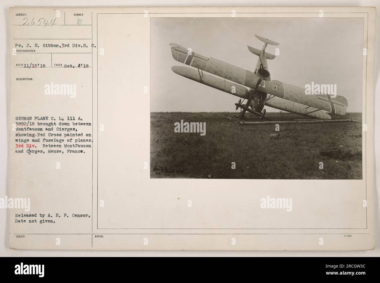 Pv gibbon hi-res stock photography and images - Alamy