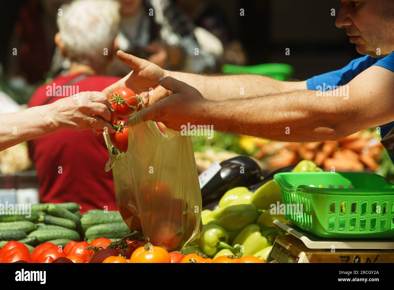 Bucharest, Romania. 14th July, 2023: Romanian farmer sells tomatoes ...