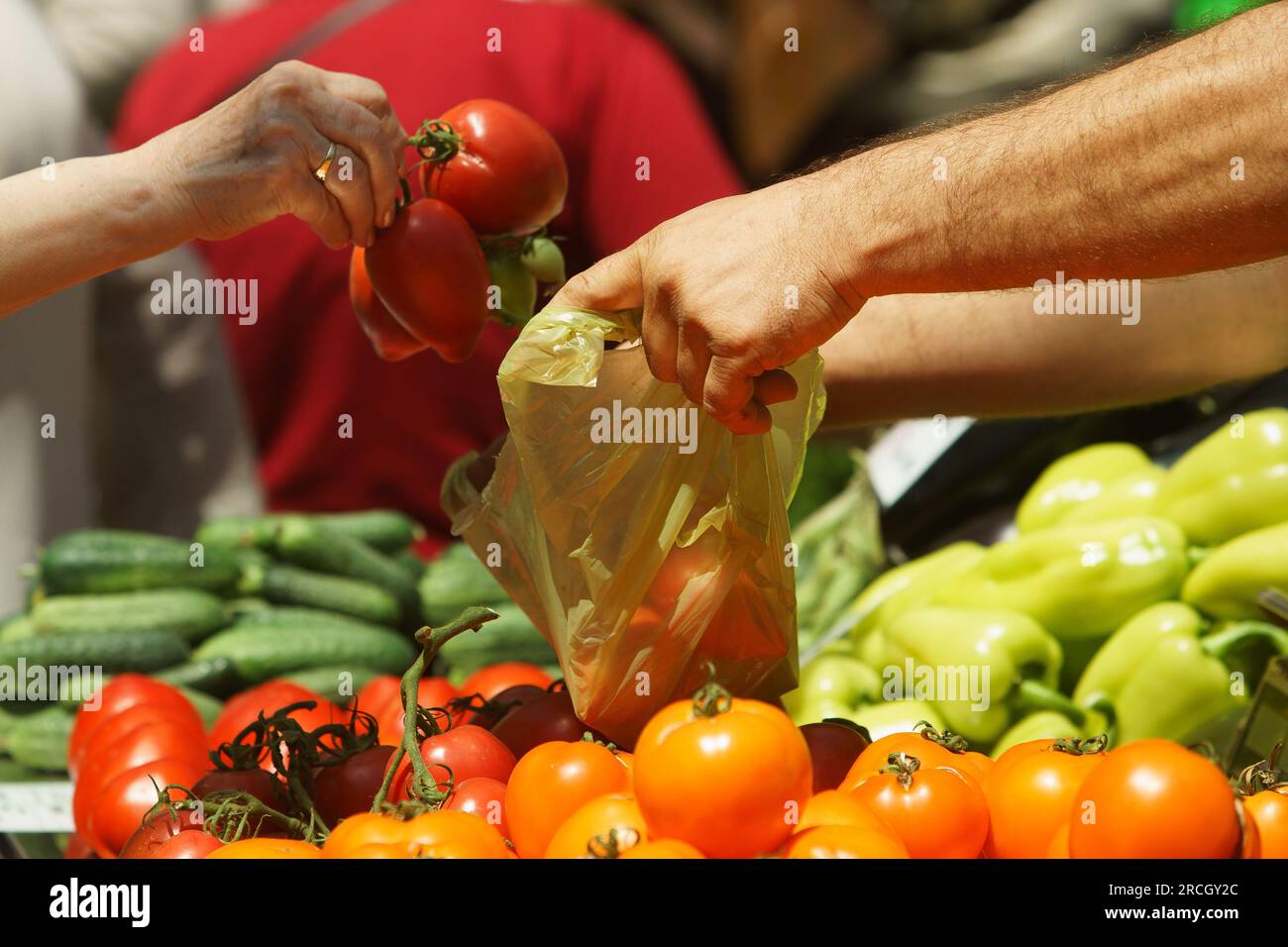 Bucharest, Romania. 14th July, 2023: Romanian farmer sells tomatoes ...