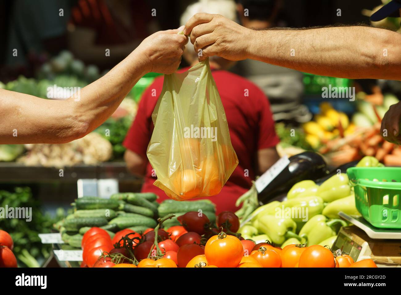 Bucharest, Romania. 14th July, 2023: Romanian farmer sells tomatoes ...