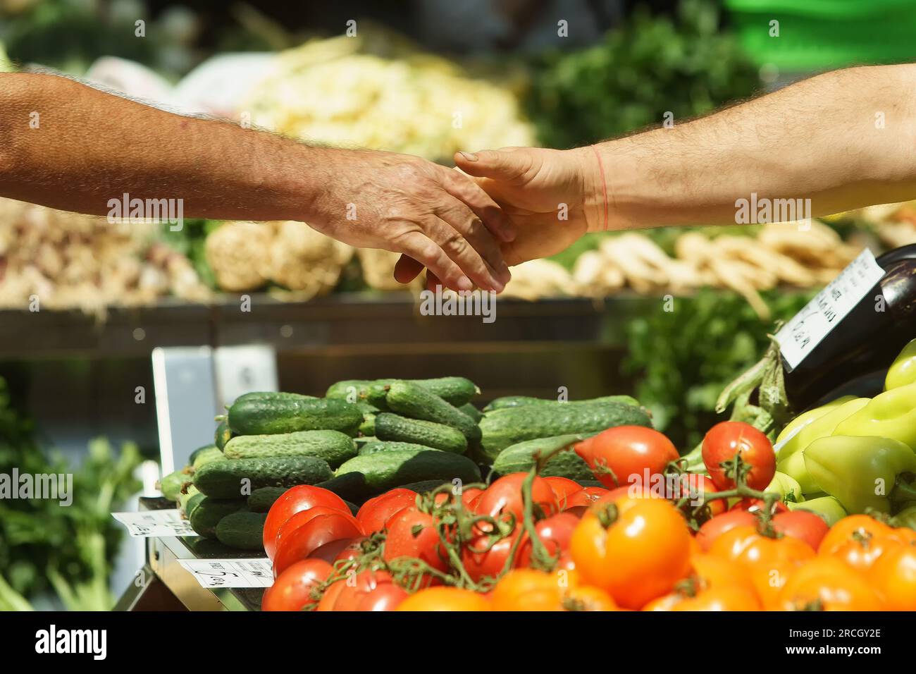 Bucharest, Romania. 14th July, 2023: Romanian farmer sells tomatoes ...