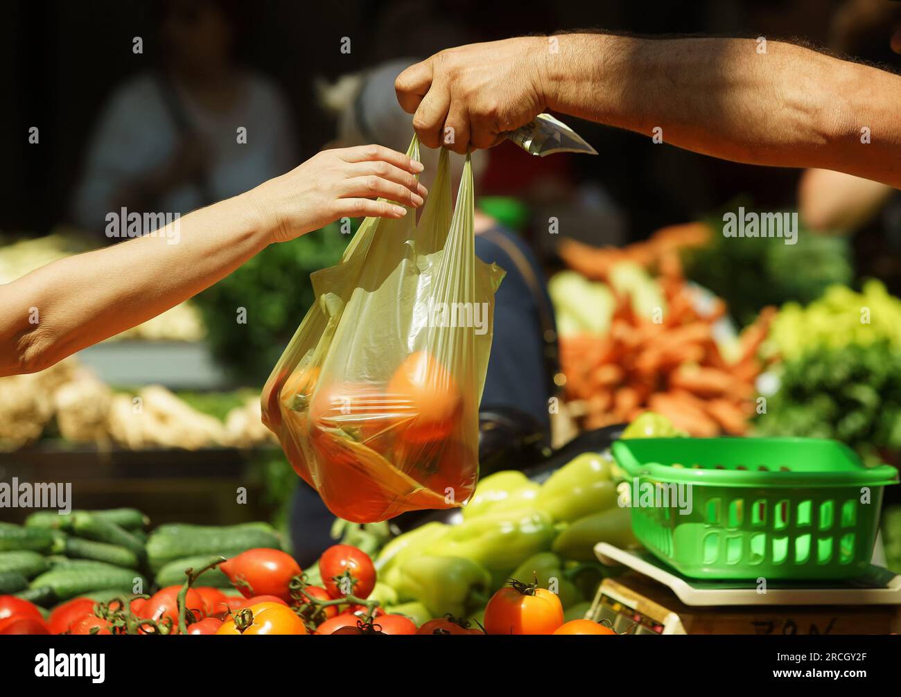 Bucharest, Romania. 14th July, 2023: Romanian farmer sells tomatoes ...