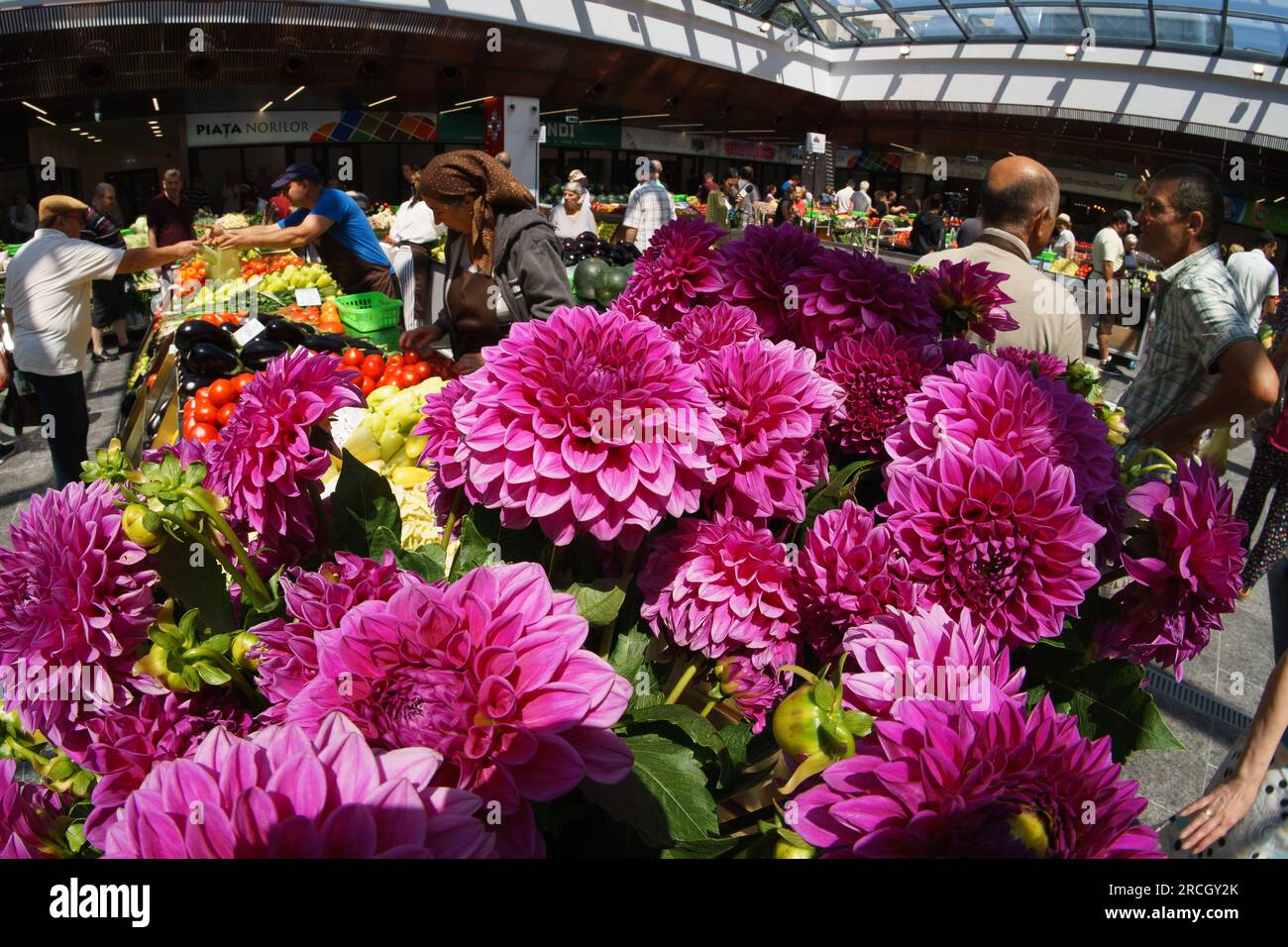 Bucharest, Romania. 14th July, 2023: Inauguration of the agri-food ...