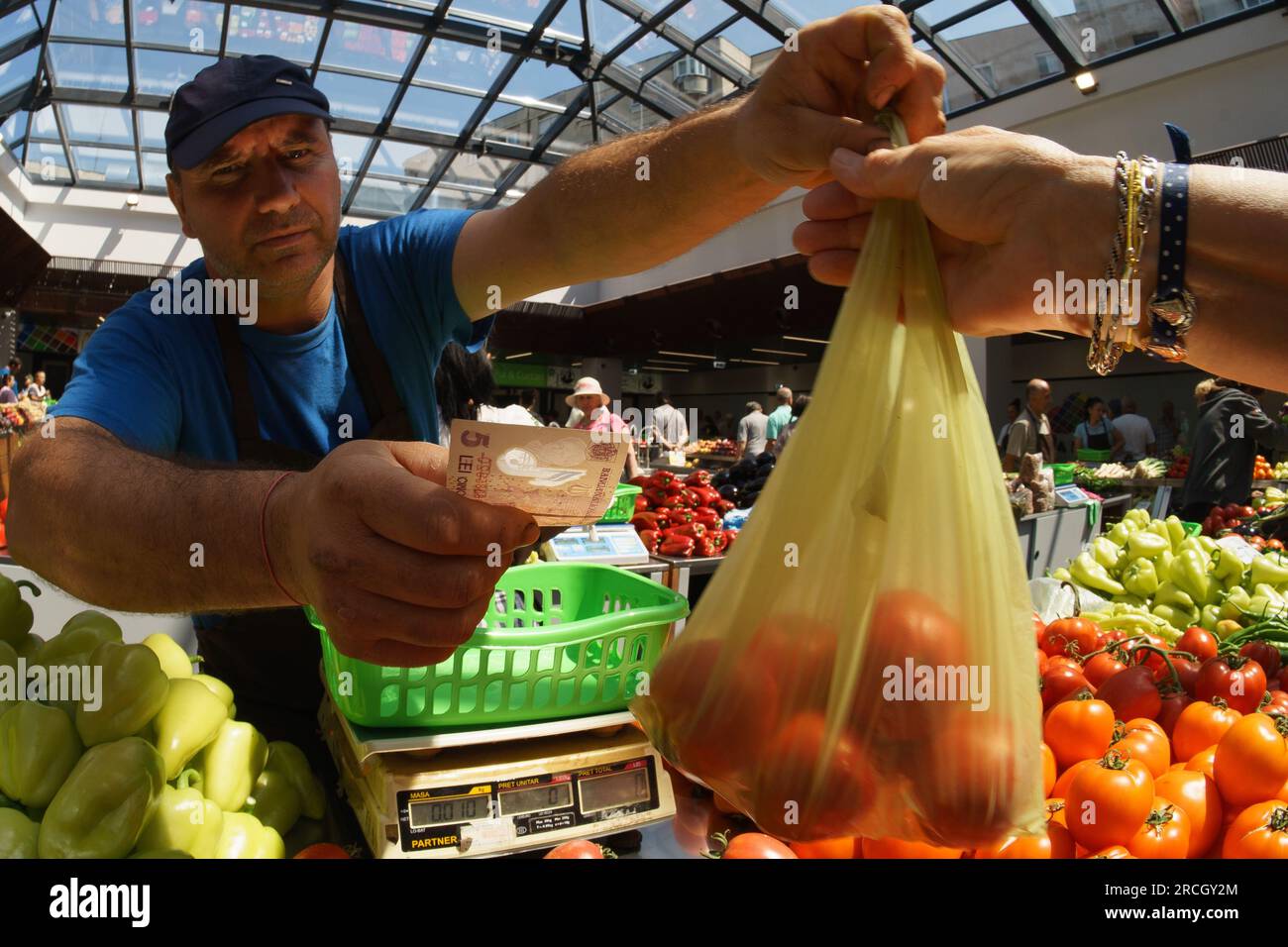 Bucharest, Romania. 14th July, 2023: Romanian farmer sells tomatoes ...