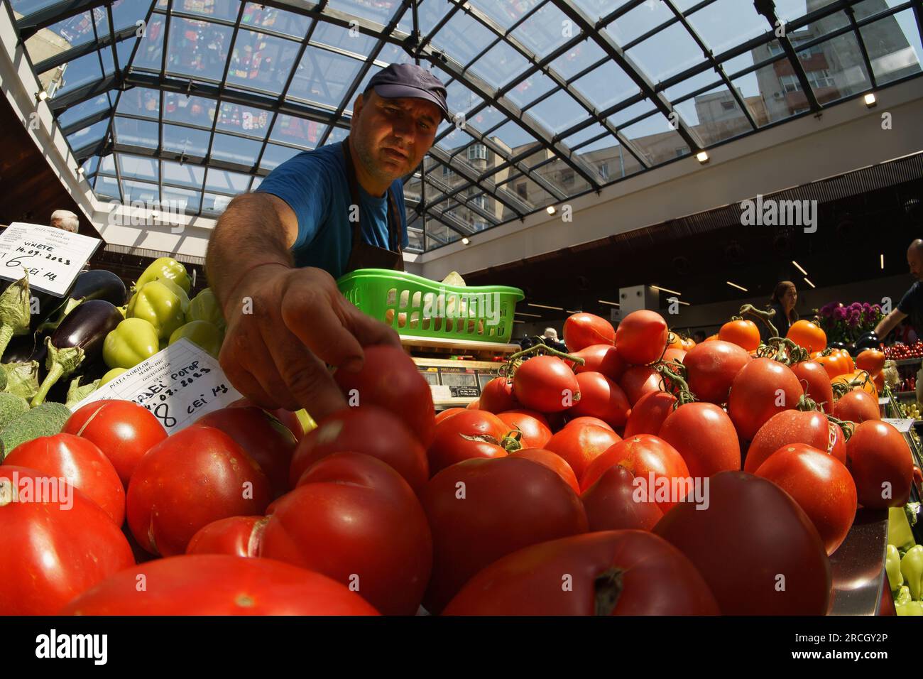 Bucharest, Romania. 14th July, 2023: Romanian farmer sells tomatoes ...