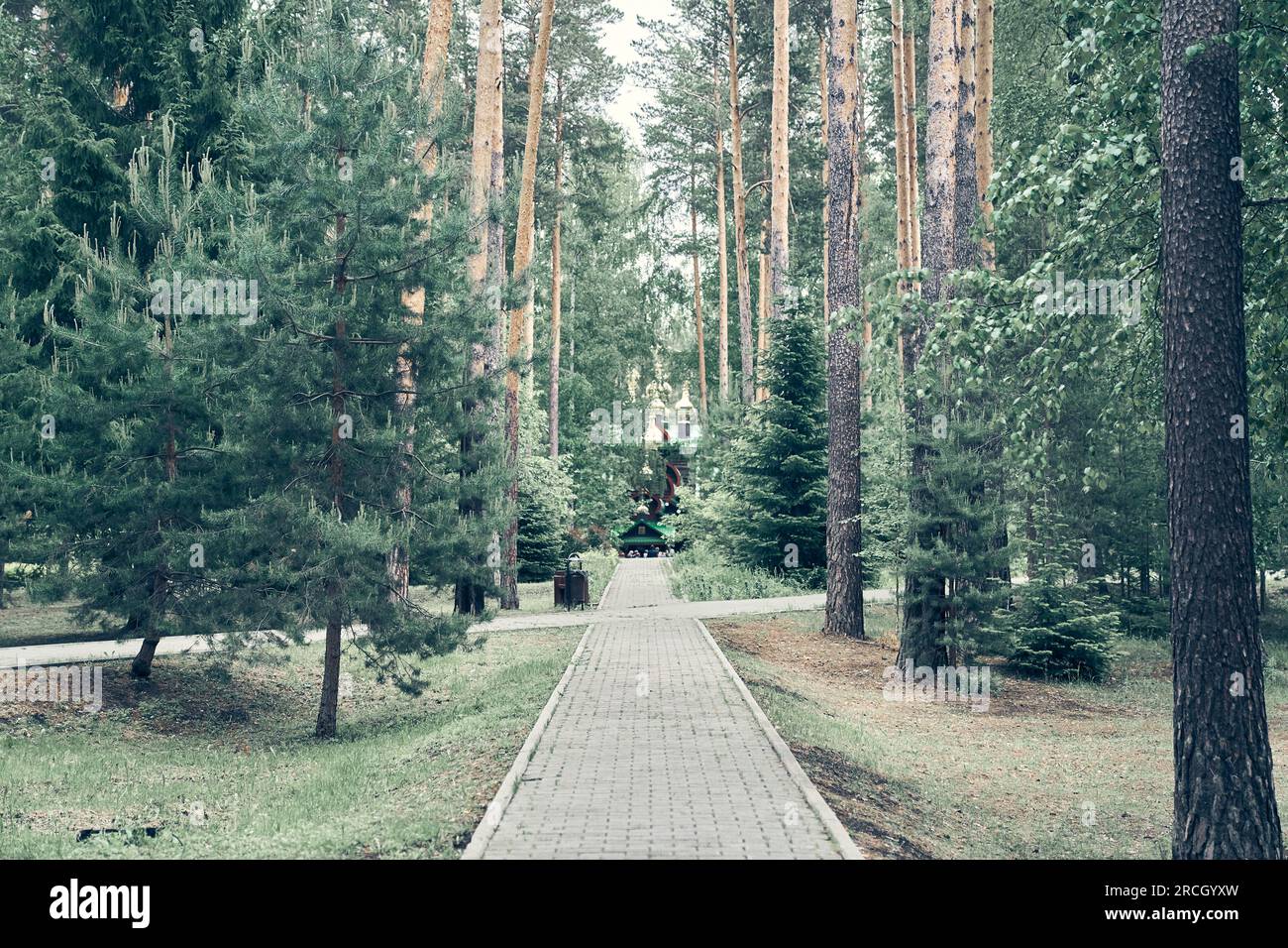 Stone path along the forest on Ganina pit - A complex of wooden ...