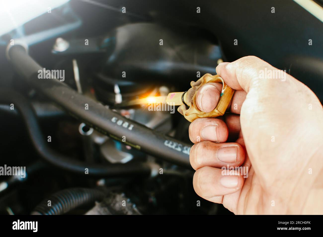 Auto mechanic checking the oil level by dipstick of a car engine. Car maintenance service ...