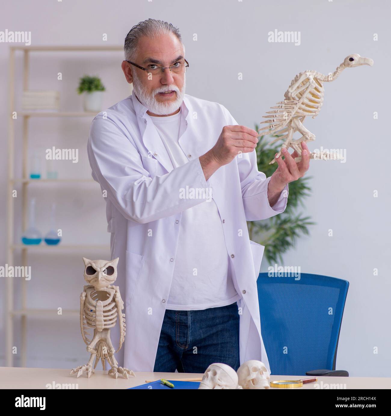Scientist studying birds hi-res stock photography and images - Alamy