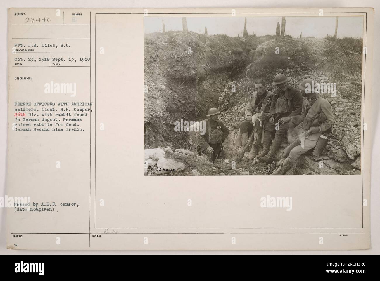 German dugout discoveries hi-res stock photography and images - Alamy