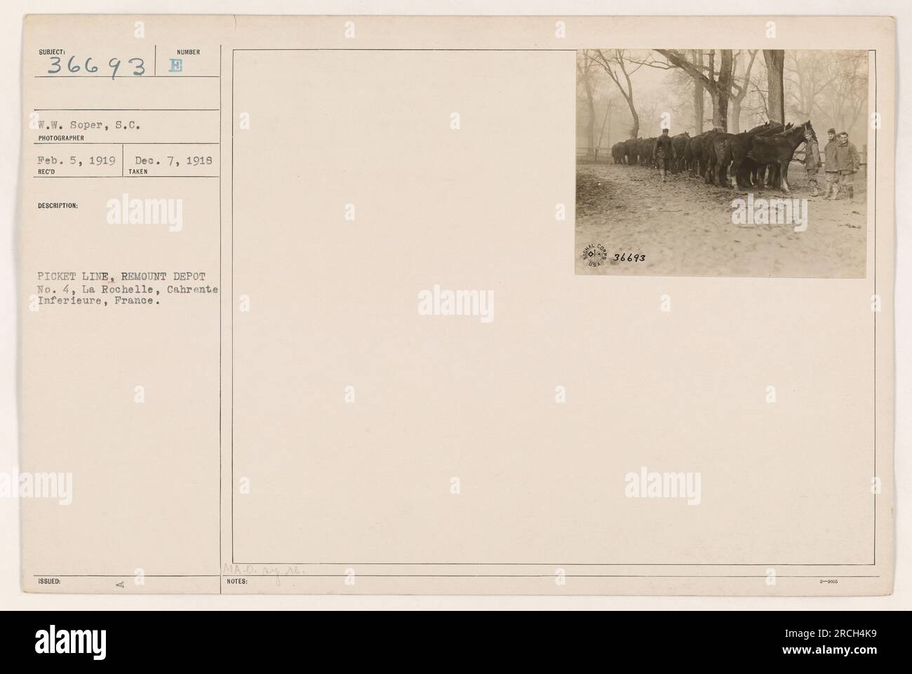 This image shows a picket line at Remount Depot No. 4 in La Rochelle ...