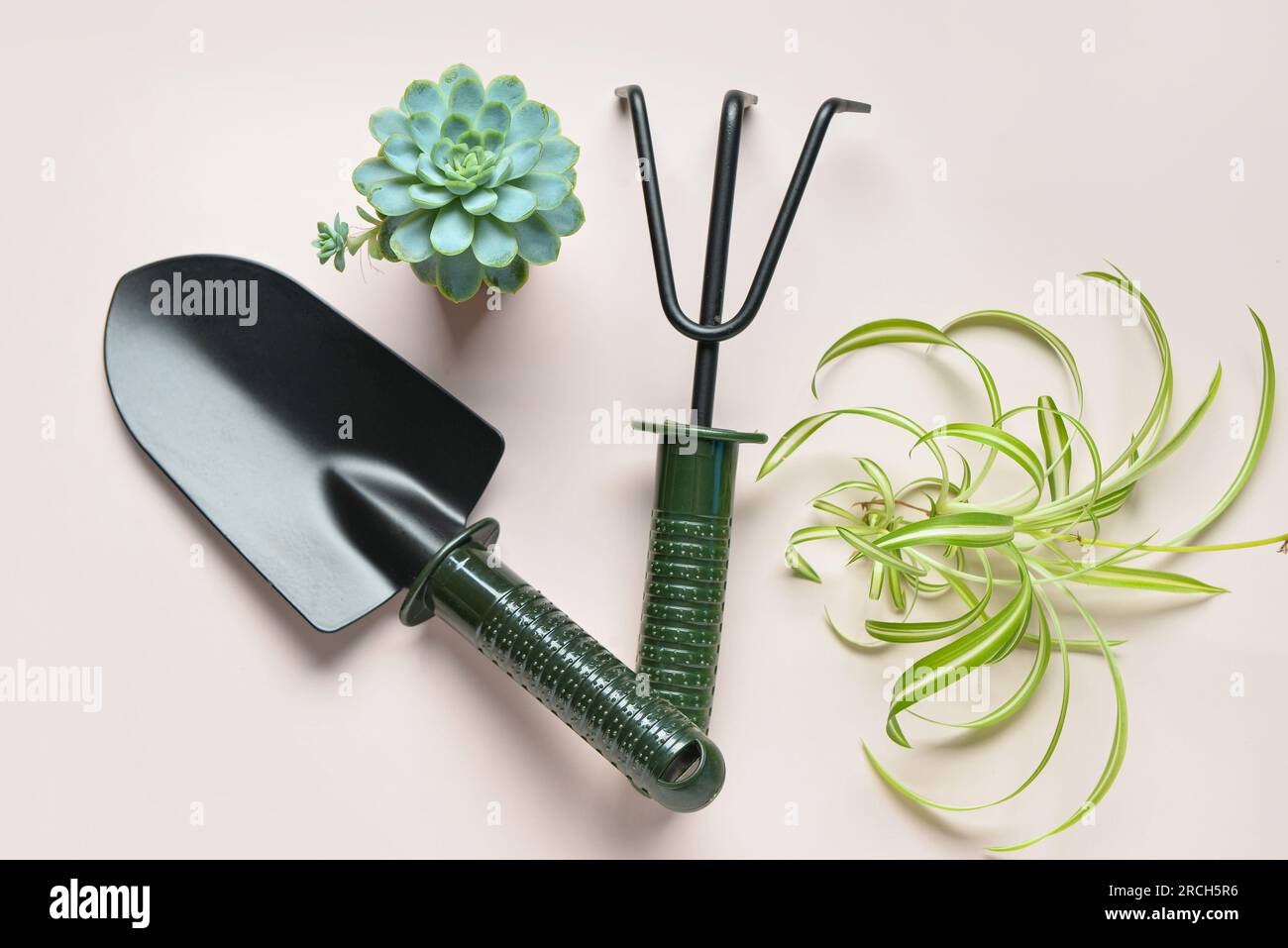 Gardening rake, shovel and plants on white background Stock Photo - Alamy