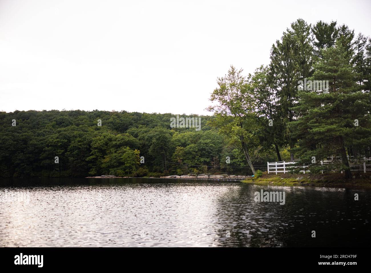 A landscape scenery with a lakefront property surrounded by forests ...