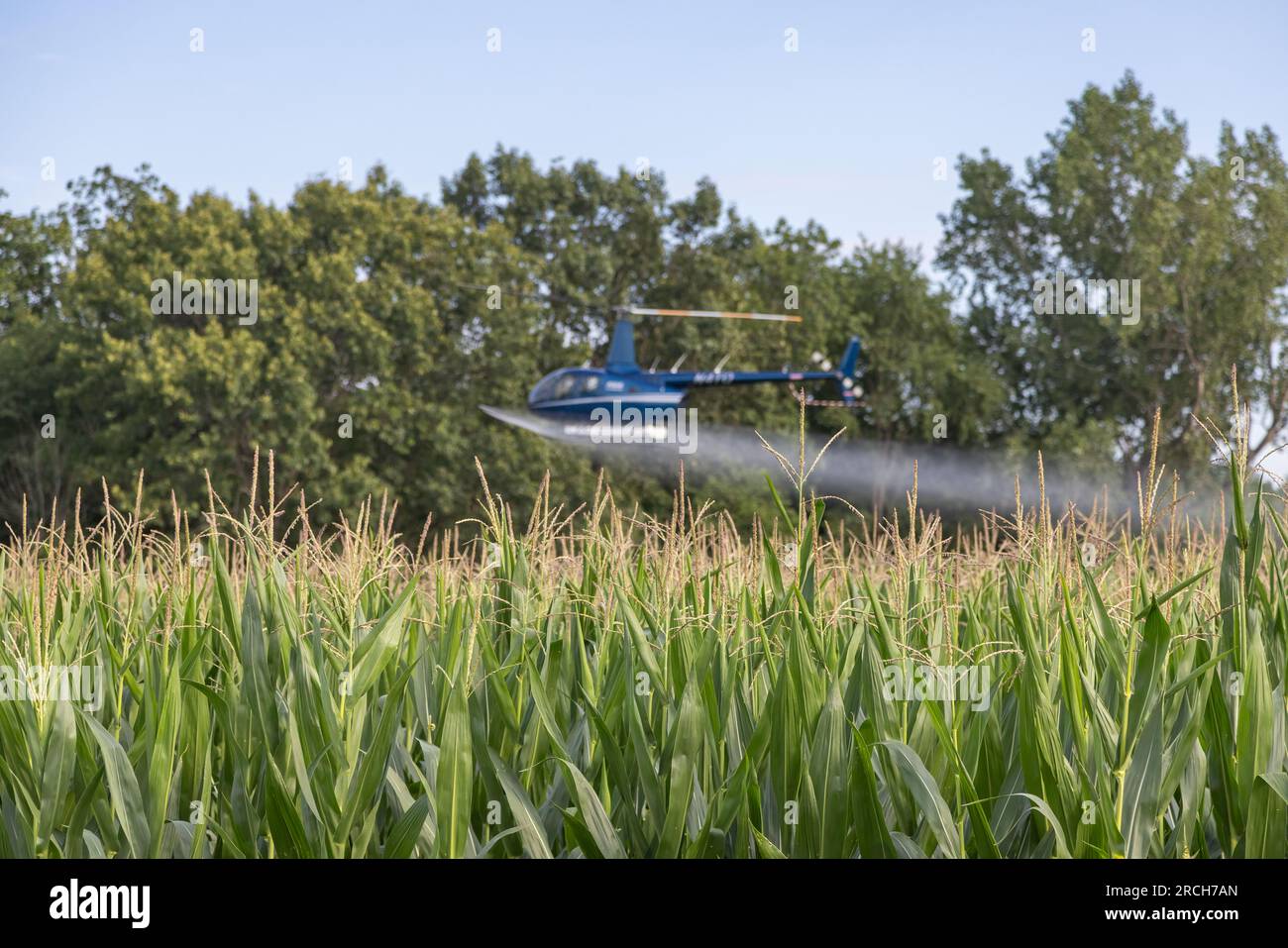 Selective focus photo of an Iowa corn field with Robinson R66 crop ...