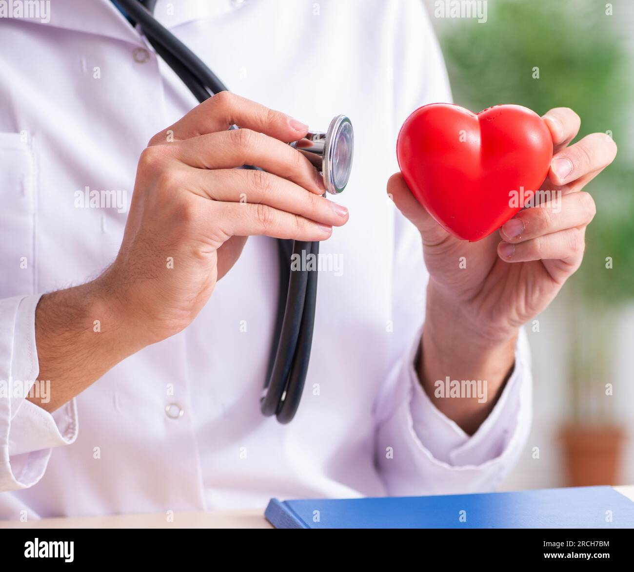 The male doctor cardiologist holding heart model Stock Photo - Alamy