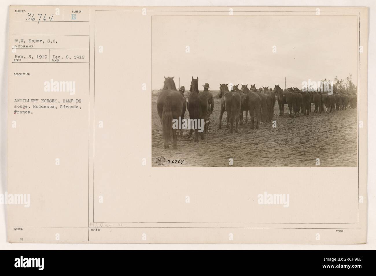 Camp de souge photographs hi-res stock photography and images - Alamy