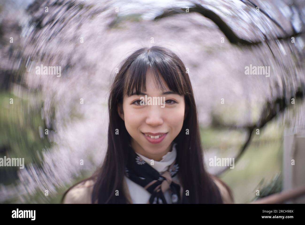A swirly portrait of Japanese woman behind cherry blossom closeup Stock ...