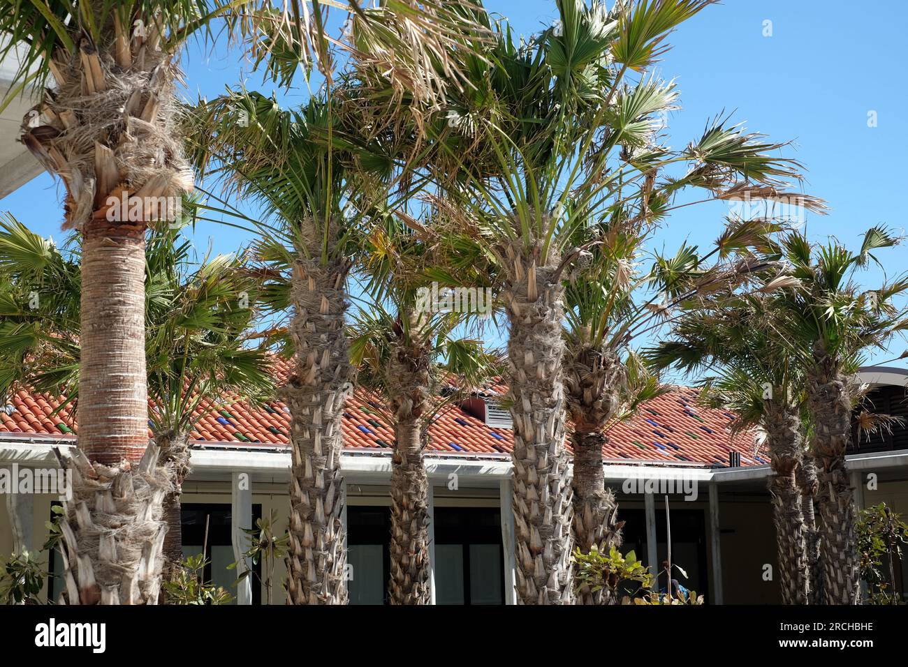 Interlocking spanish terracotta roof tiles hi-res stock photography and ...