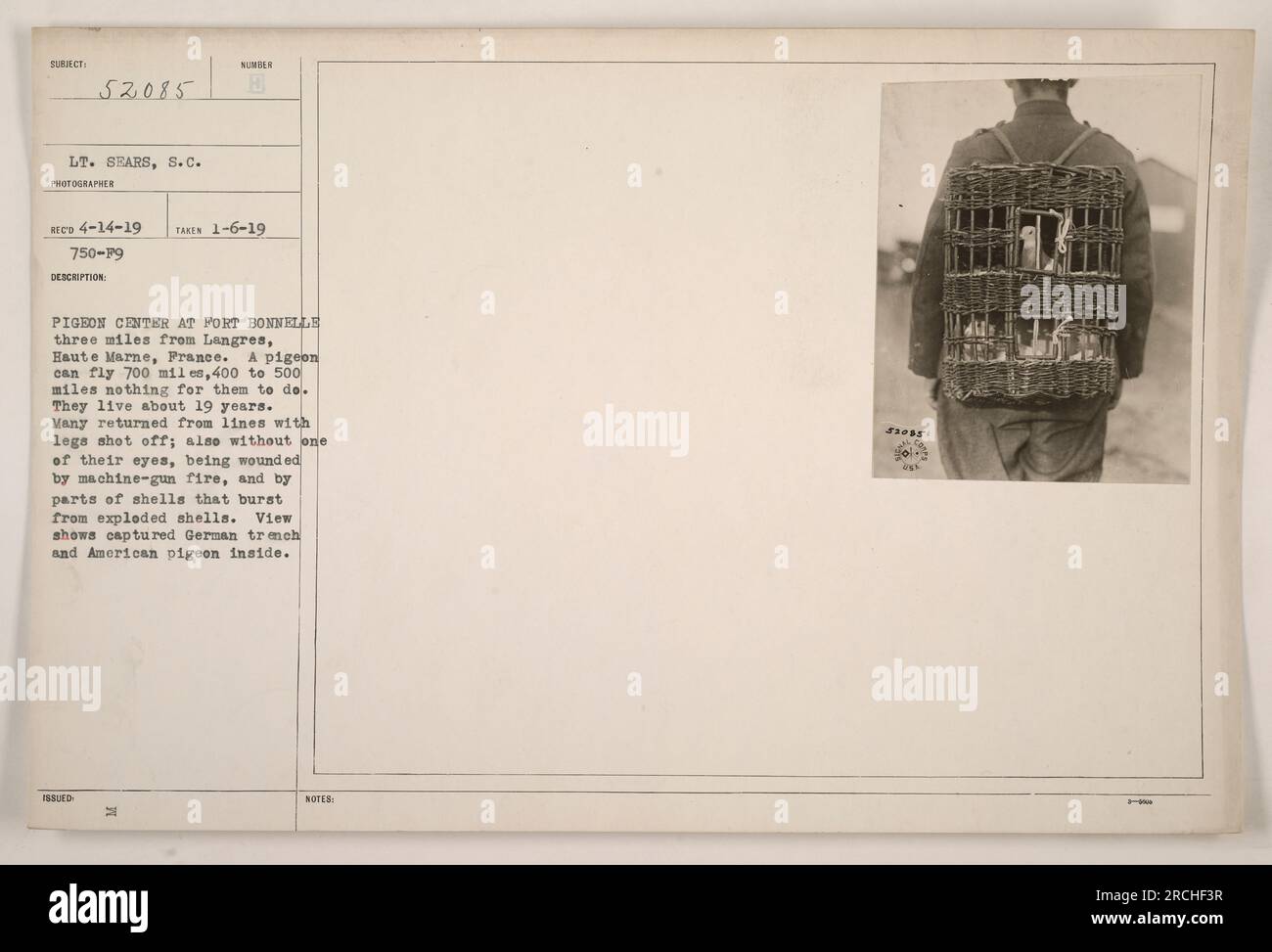 Exploded shells hi-res stock photography and images - Alamy