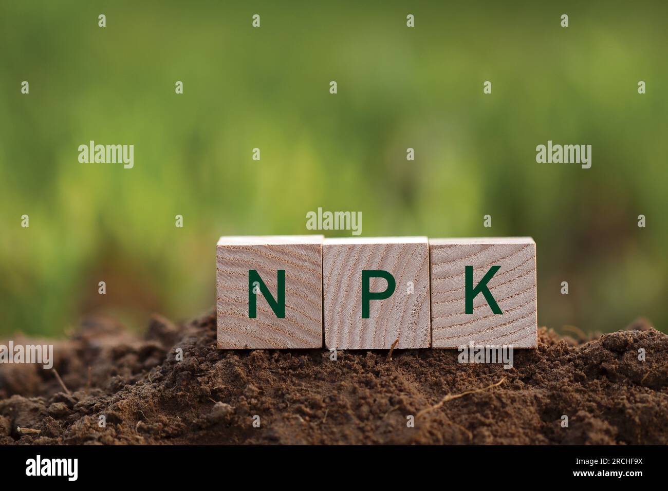 NPK letters on wooden blocks with soil. N-Nitrogen, P-Phosphorus, K ...