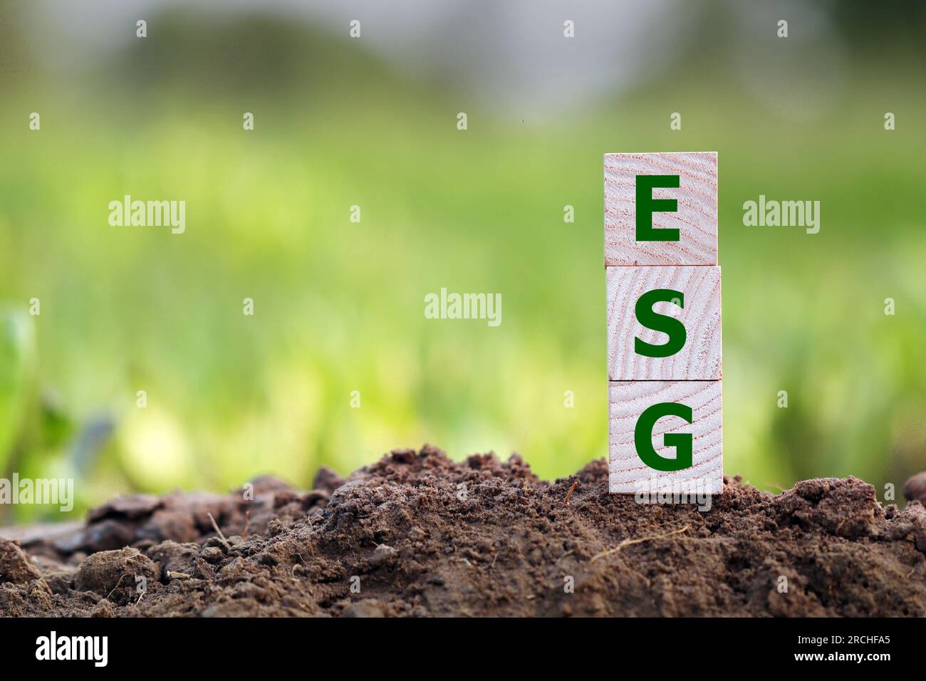 words ESG on a wood block and Future environmental conservation and ...