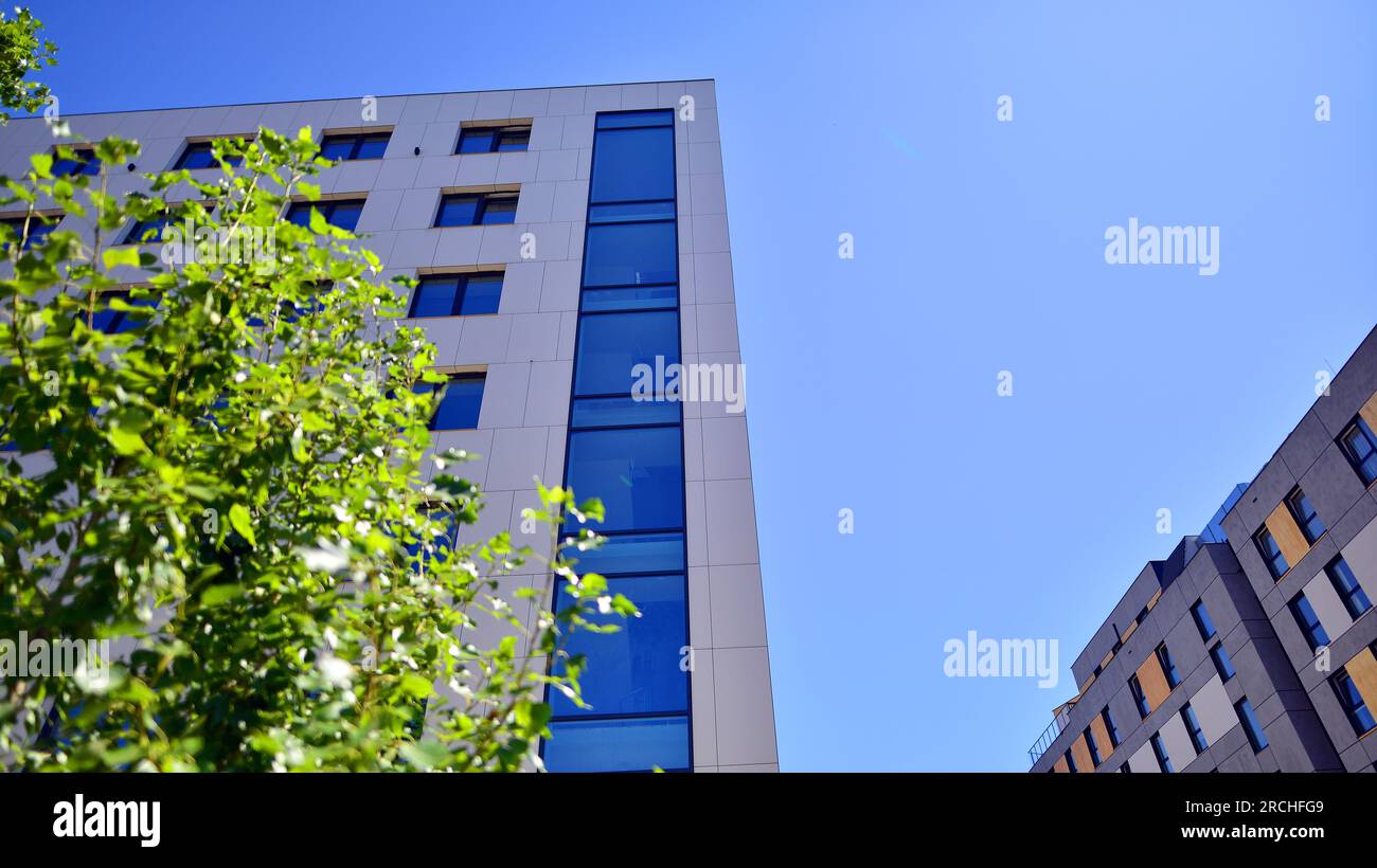 Fresh green trees and office building, business concept. Eco building ...