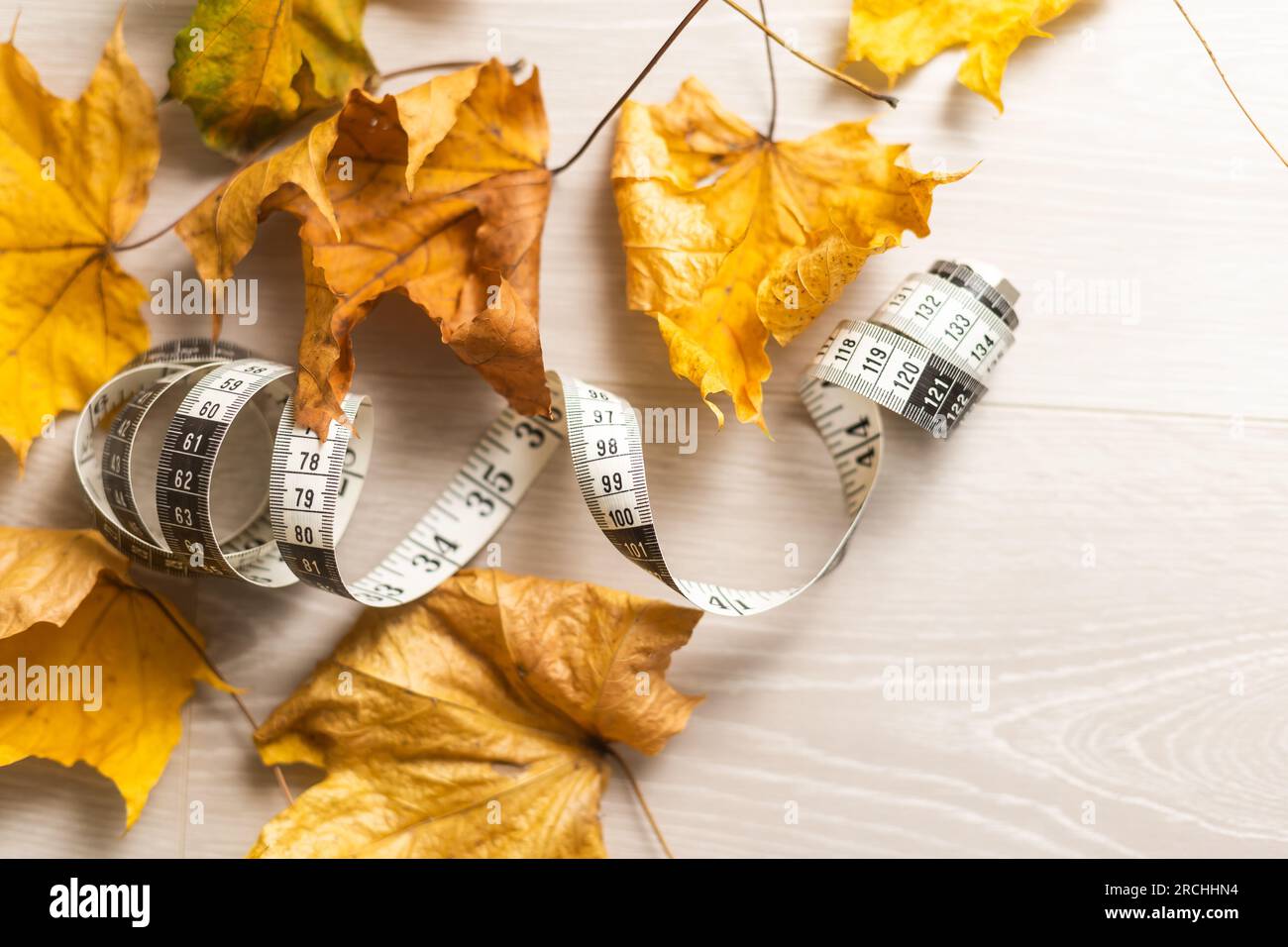Autumn fallen leaves, measuring tape and caliper on wooden background ...