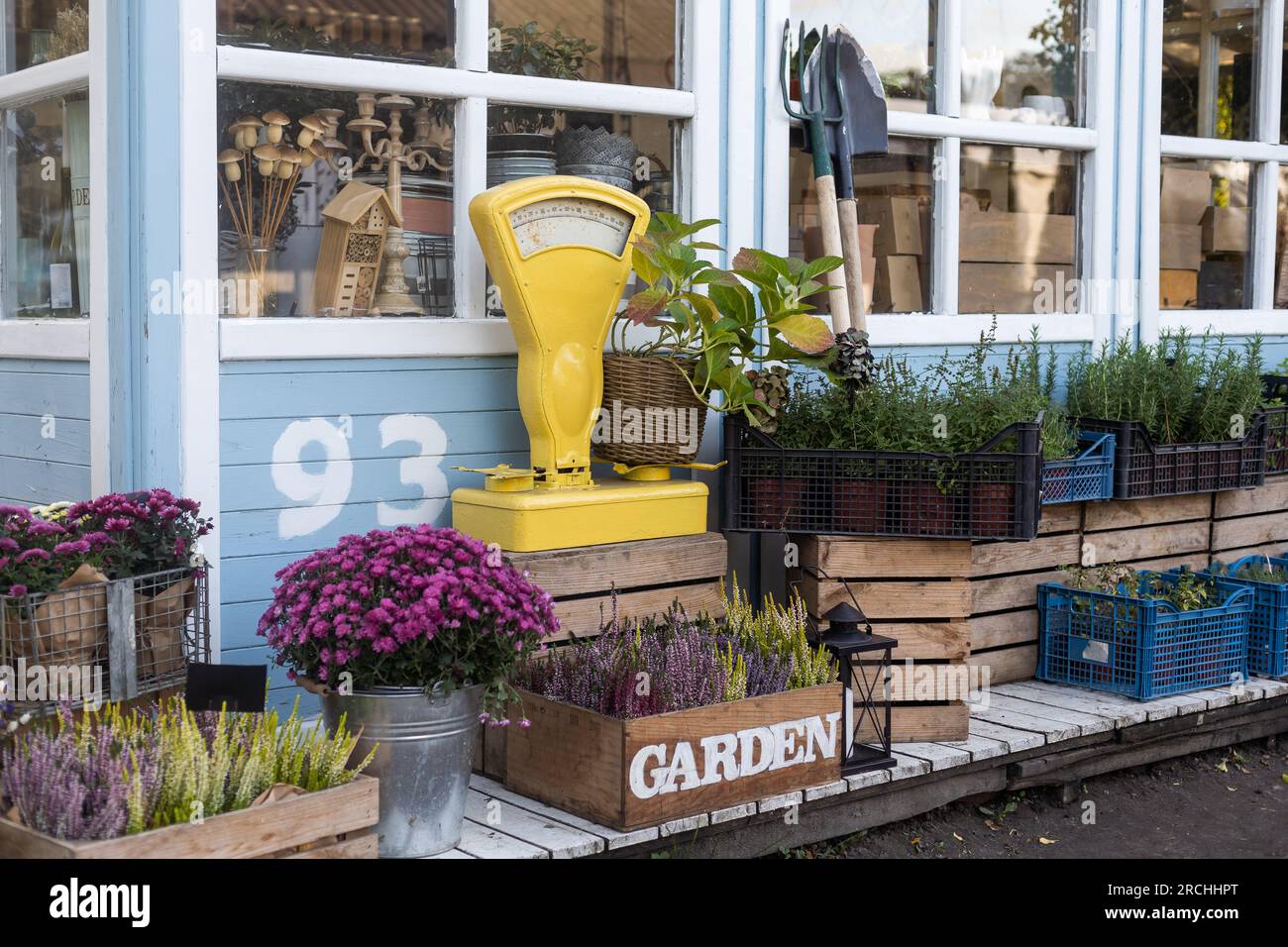 Small business, Flowers delivery. Modern flower shop interior ...