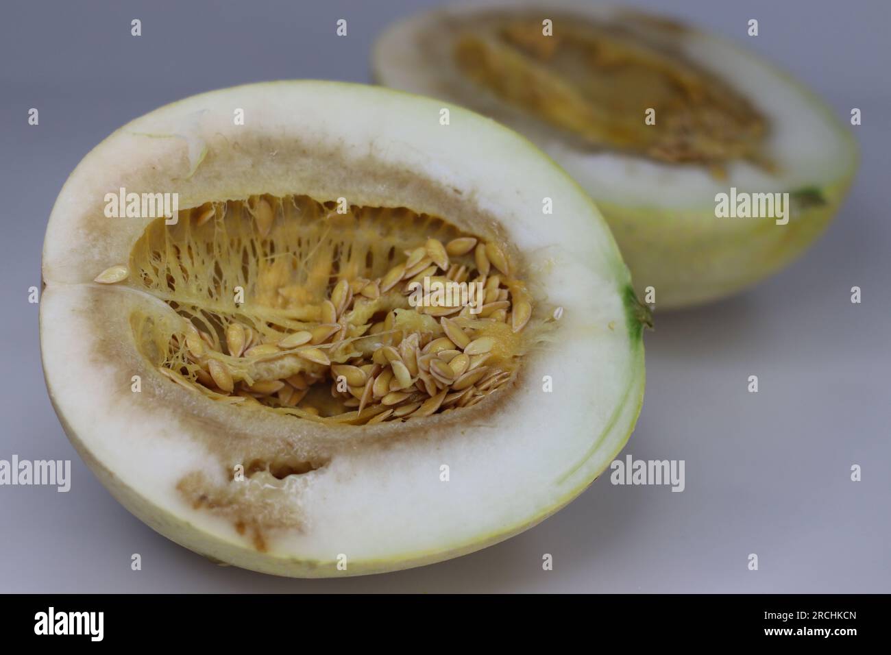 Decomposed or rotten honeydew melon. Cross section of the honeydew ...