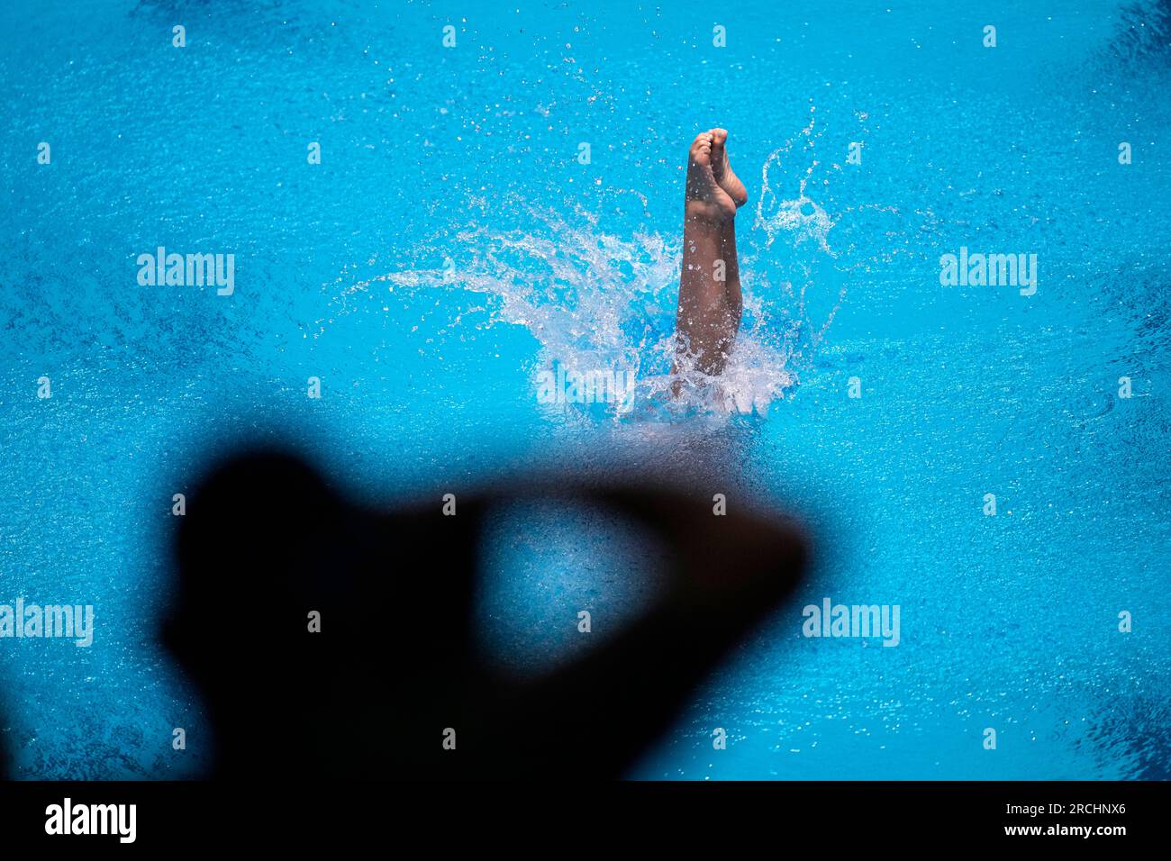 Hailey Hernandez of the United States competes in the 1m springboard ...