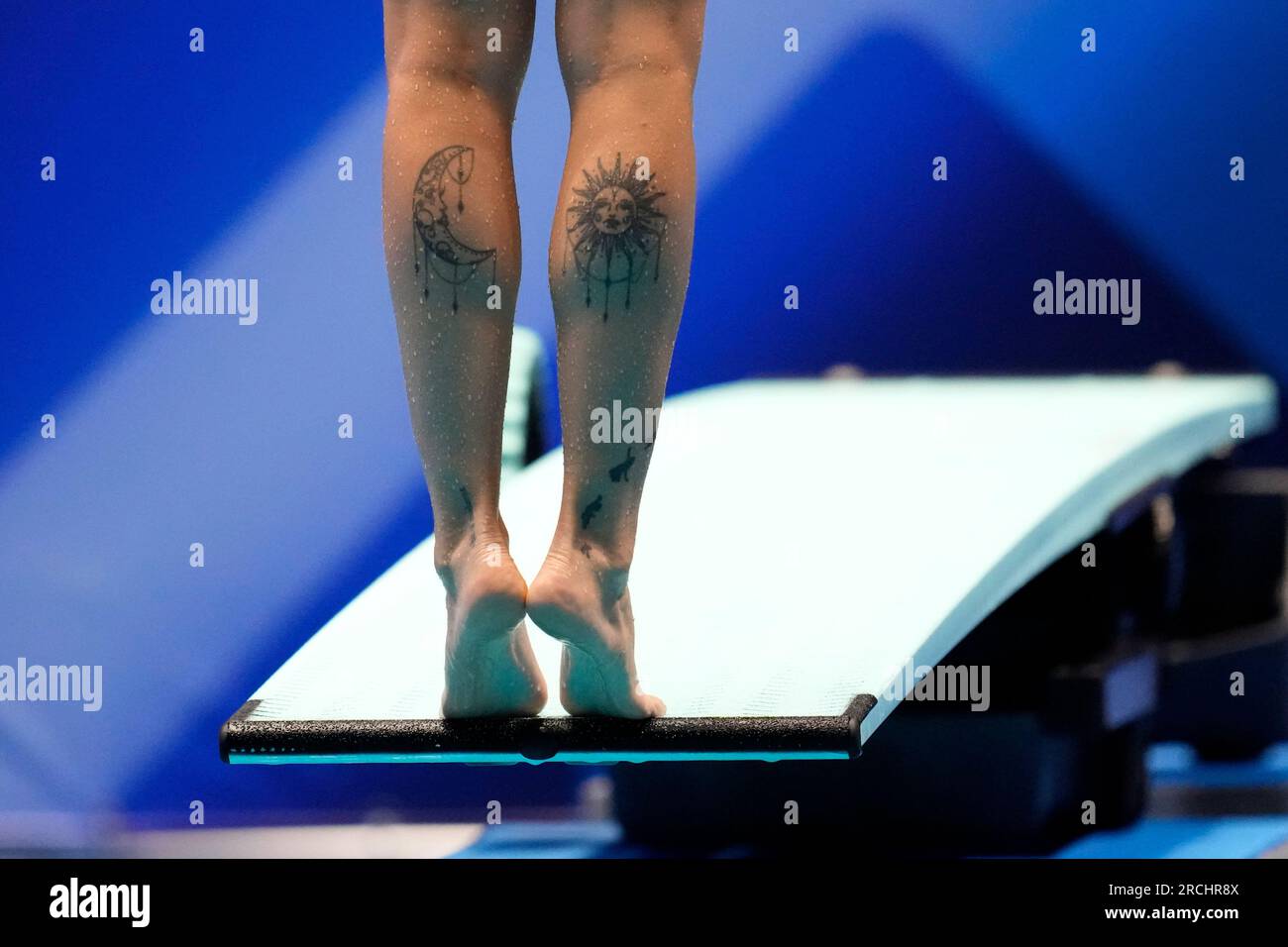 Pamela Ware of Canada competes in the 1m springboard women final at the ...