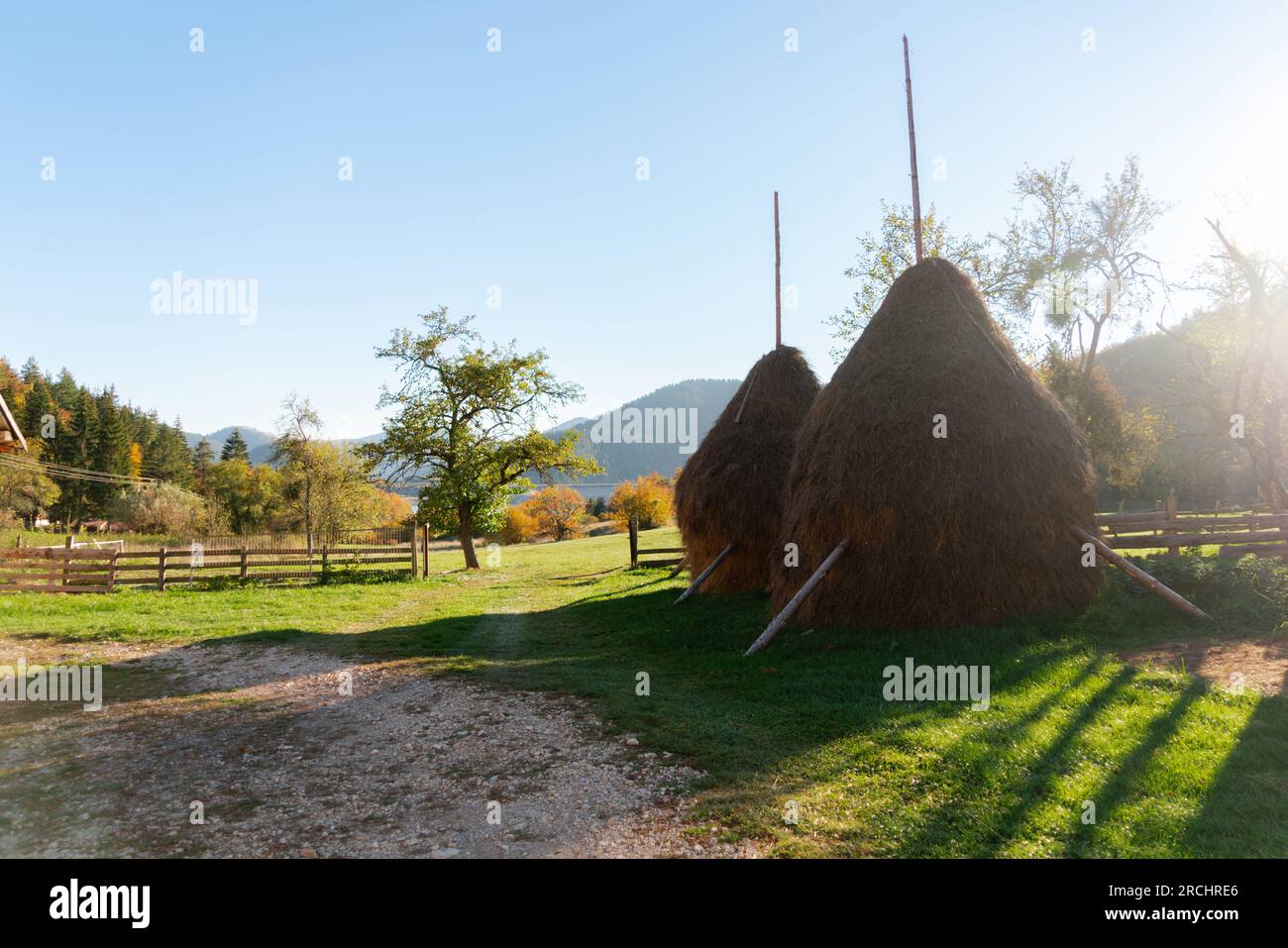 Agriculture farming hay haystack hi-res stock photography and images ...
