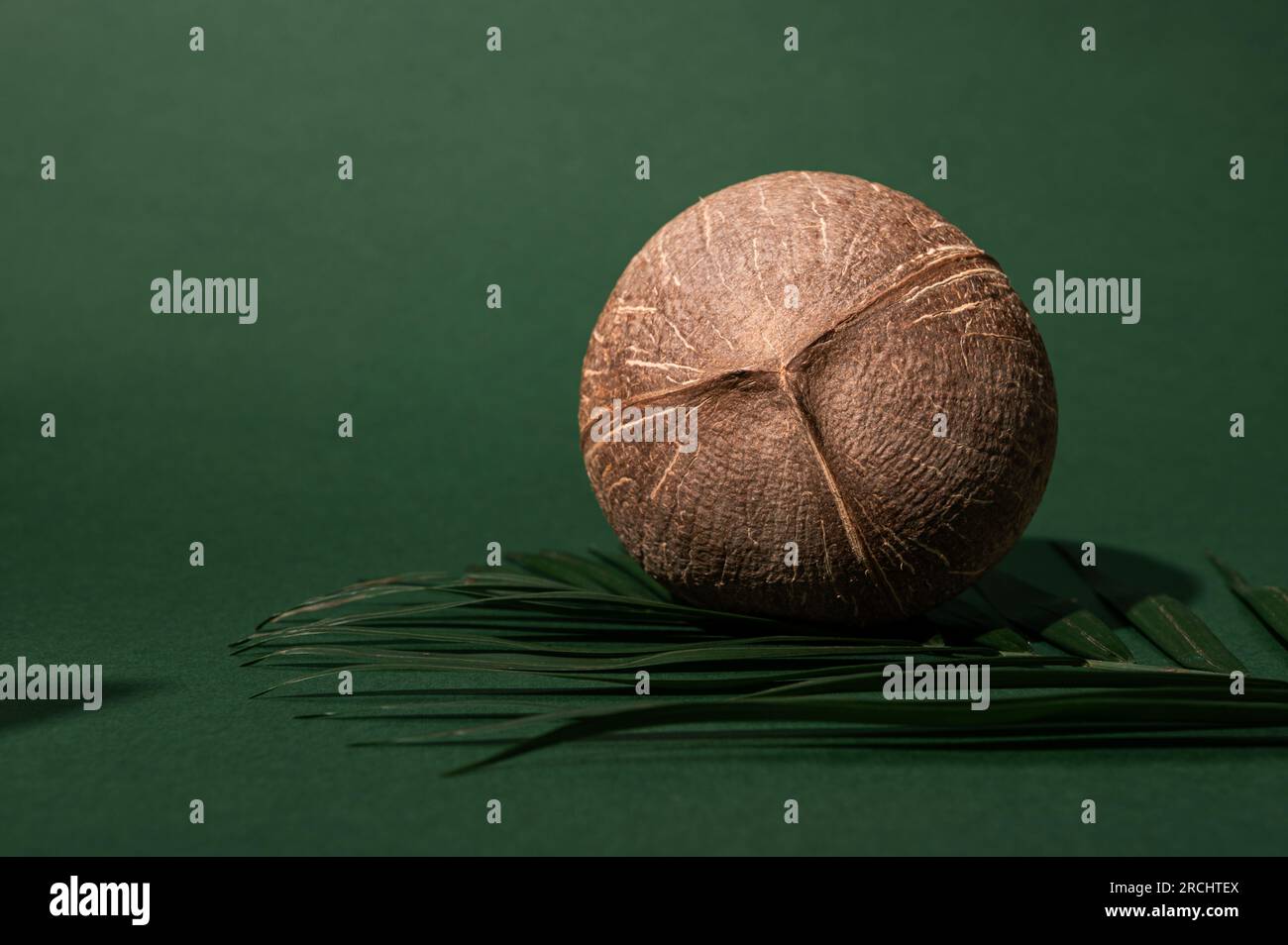 Tropical still life with a coconut and palm leaf, isolated over dark ...
