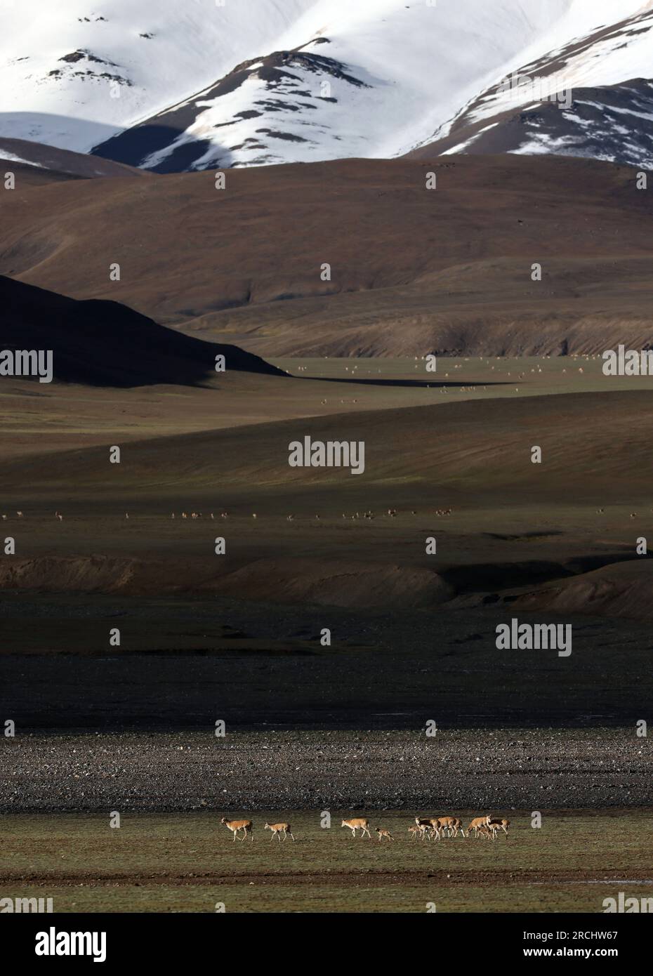 (230715) -- ALTUN MOUNTAINS, July 15, 2023 (Xinhua) -- This photo taken ...