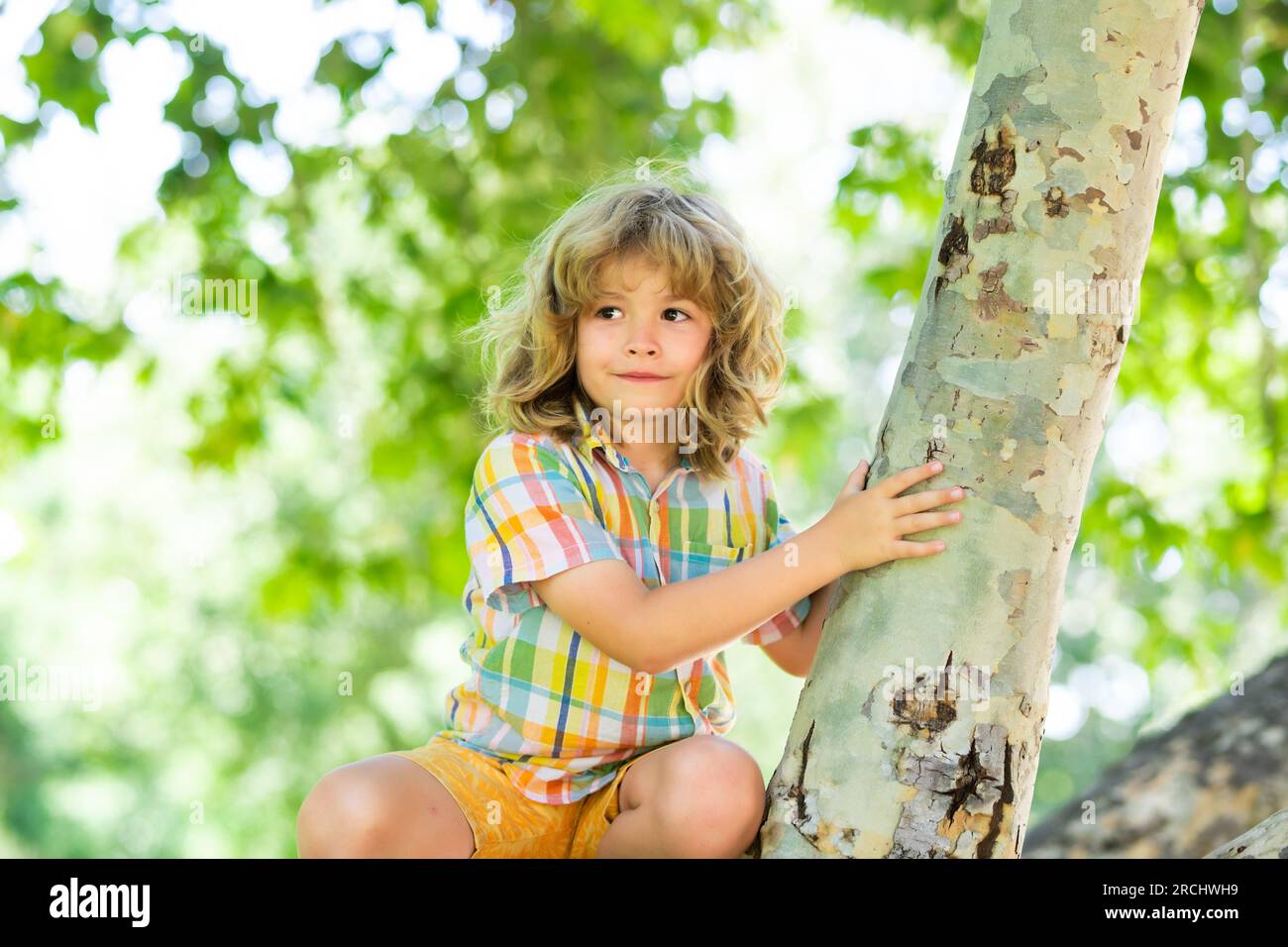 Kid climbing on a tree branch outdoor Stock Photo - Alamy