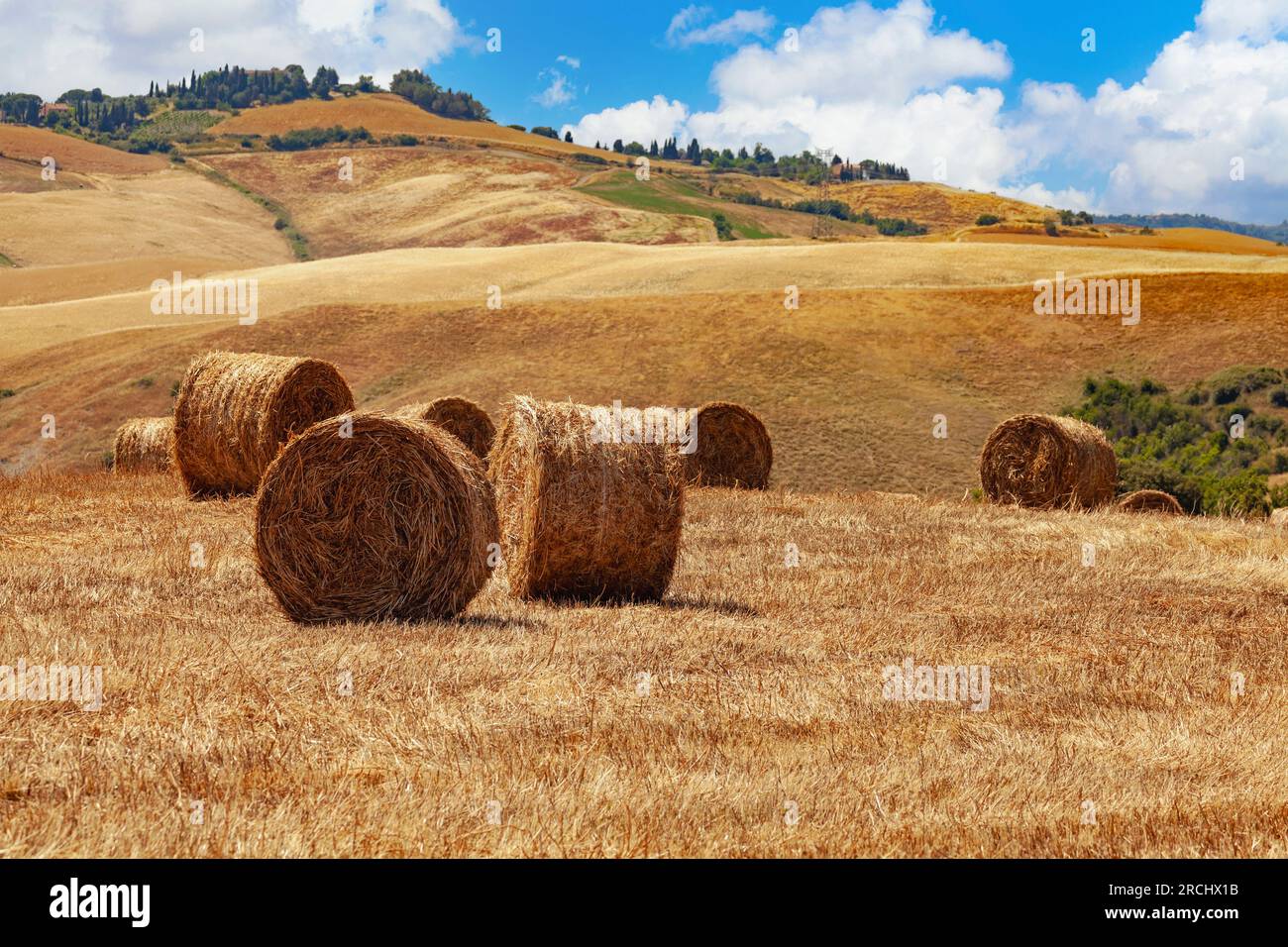 Bucolic countryside view featuring lush green vegetation and scattered ...