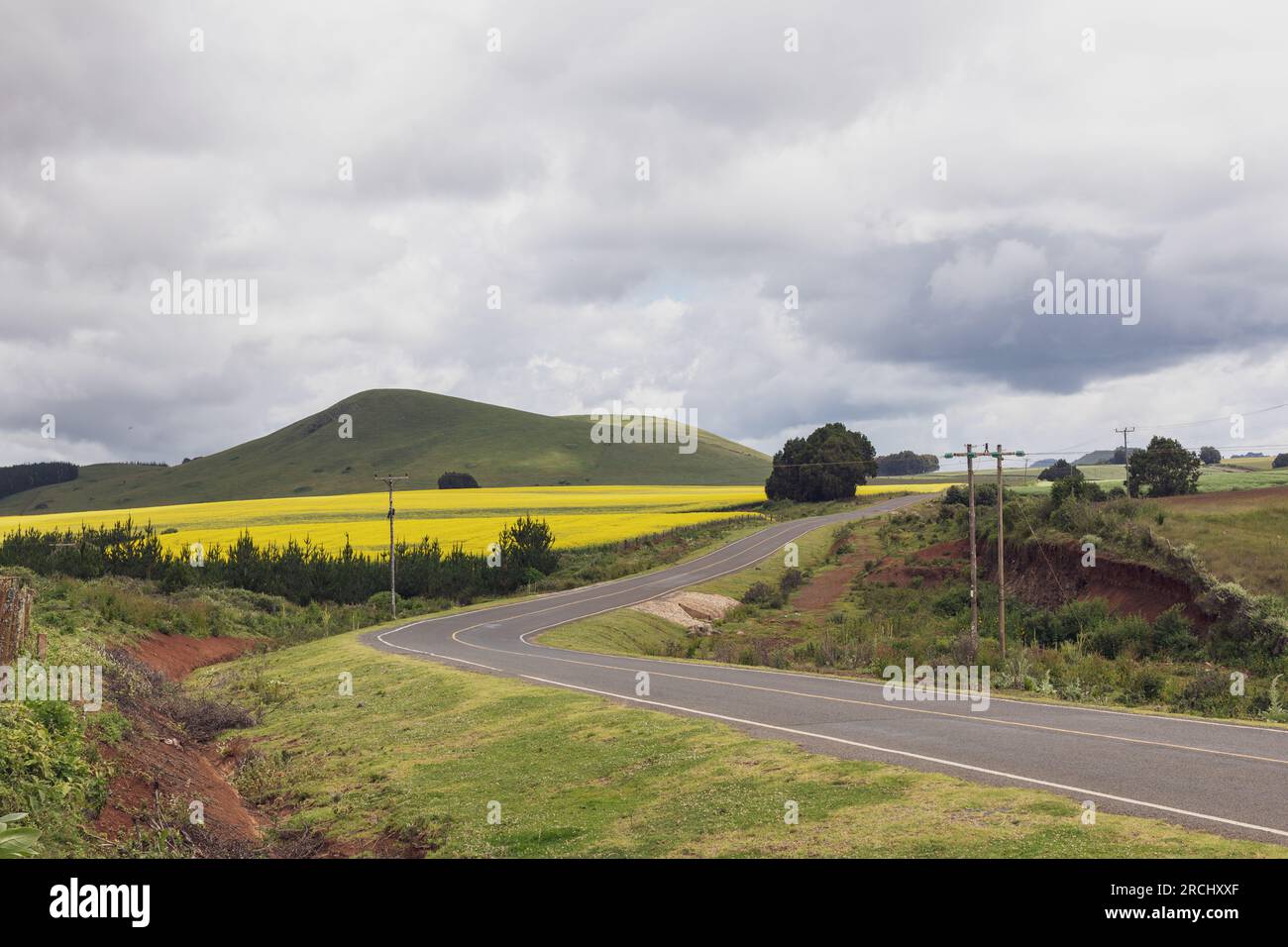 Kenyan portraiture photographers Nairobi Portraits Photographers Stock ...