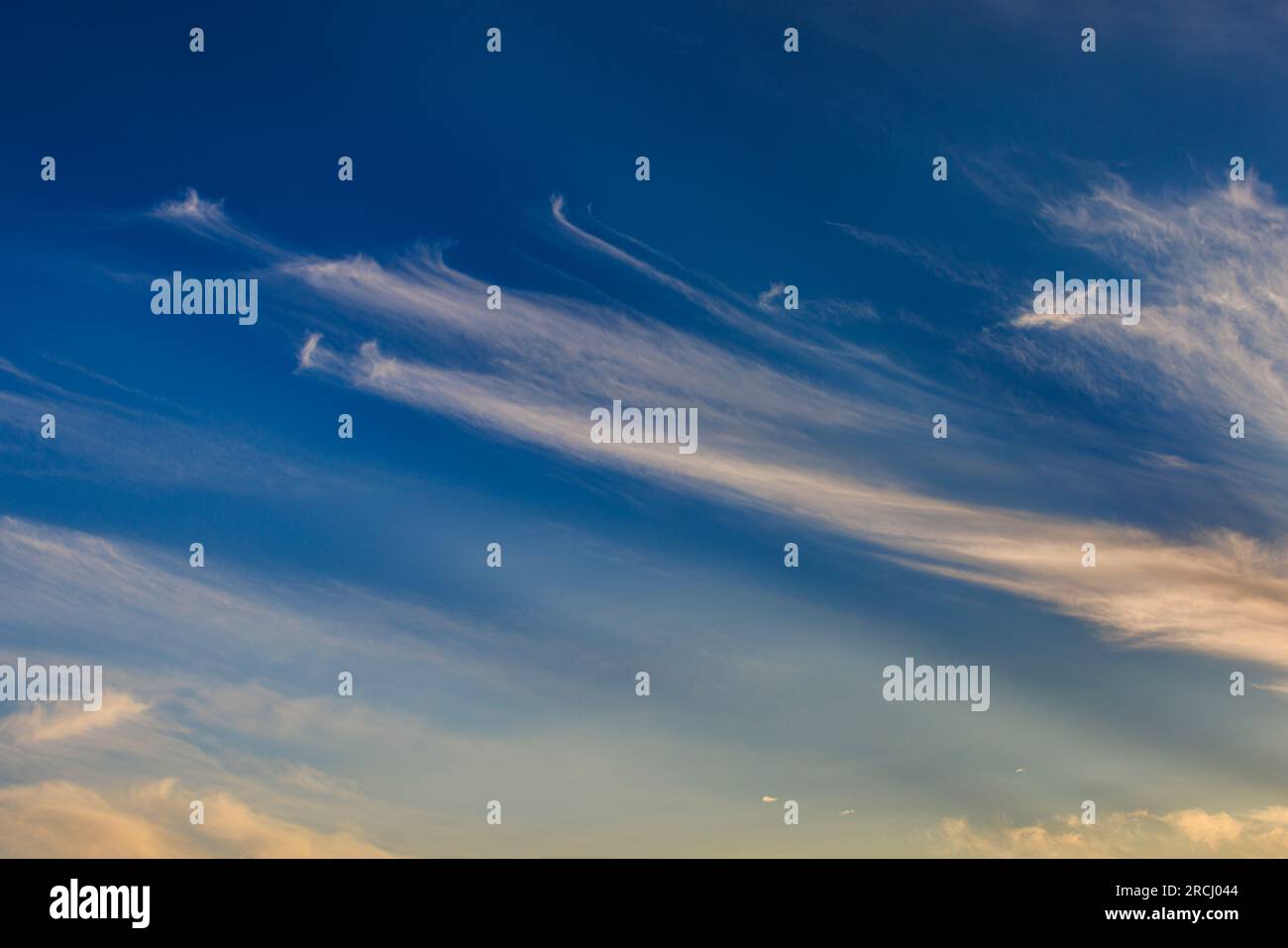 Wispy filaments hi-res stock photography and images - Alamy