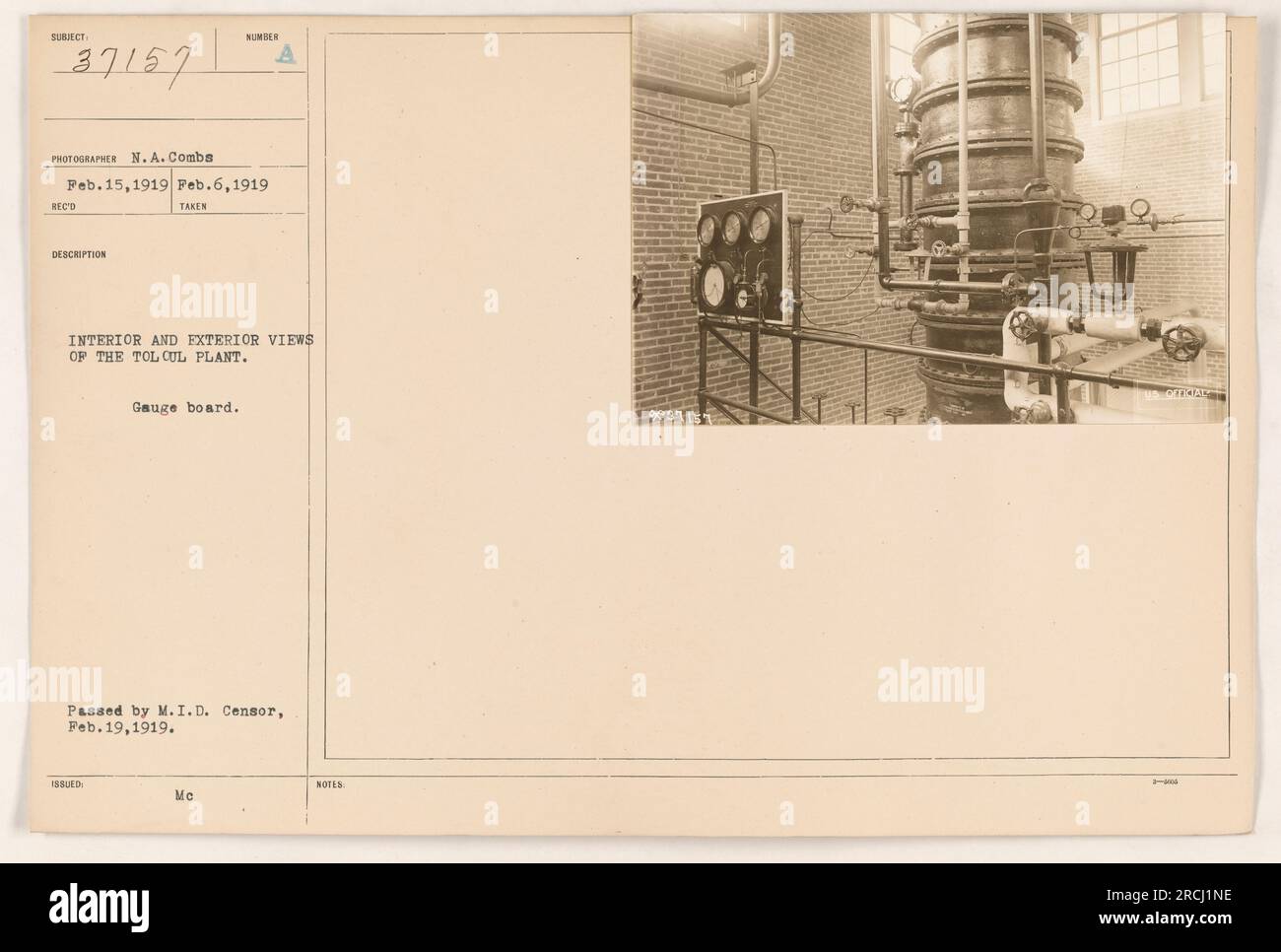 Tol cul plant hi-res stock photography and images - Alamy