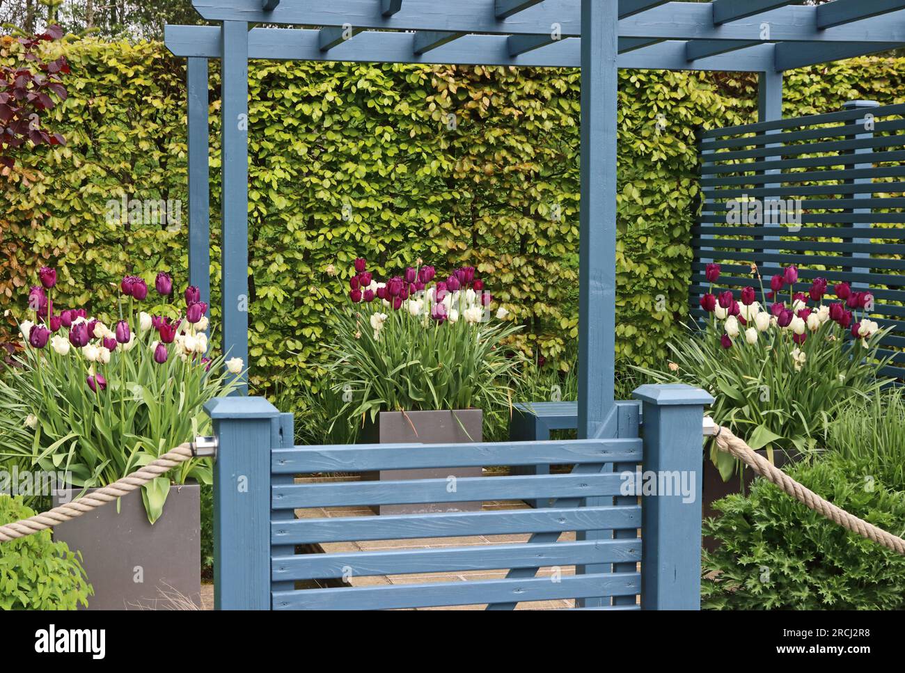 Small show garden with water rill Stock Photo - Alamy