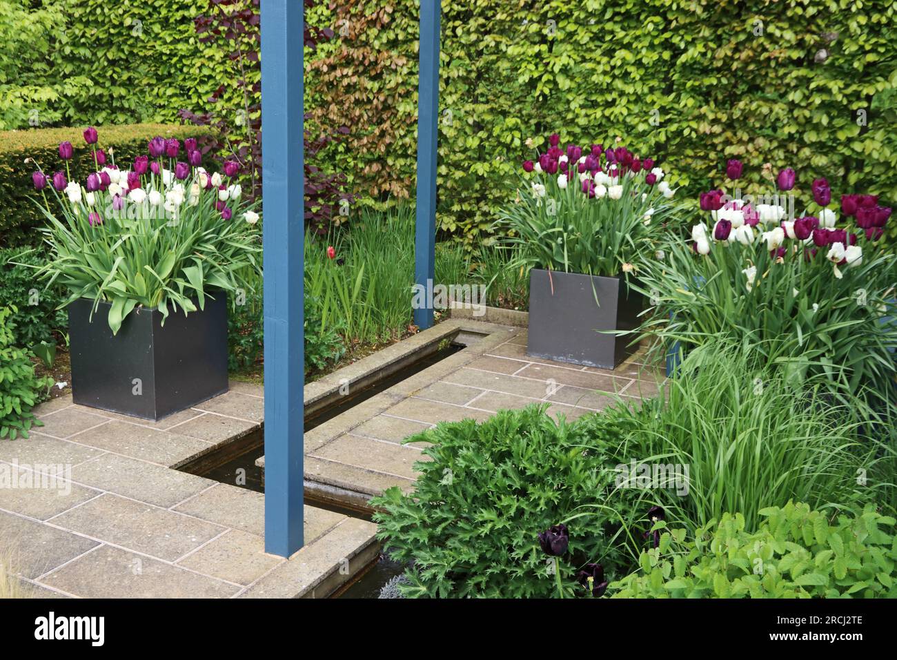 Small show garden with water rill Stock Photo - Alamy