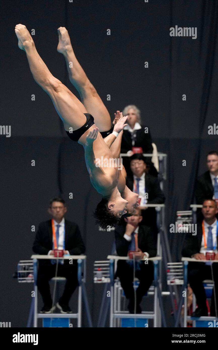 Tyler Downs and Greg Duncan of the U.S. compete in the 3m springboard ...