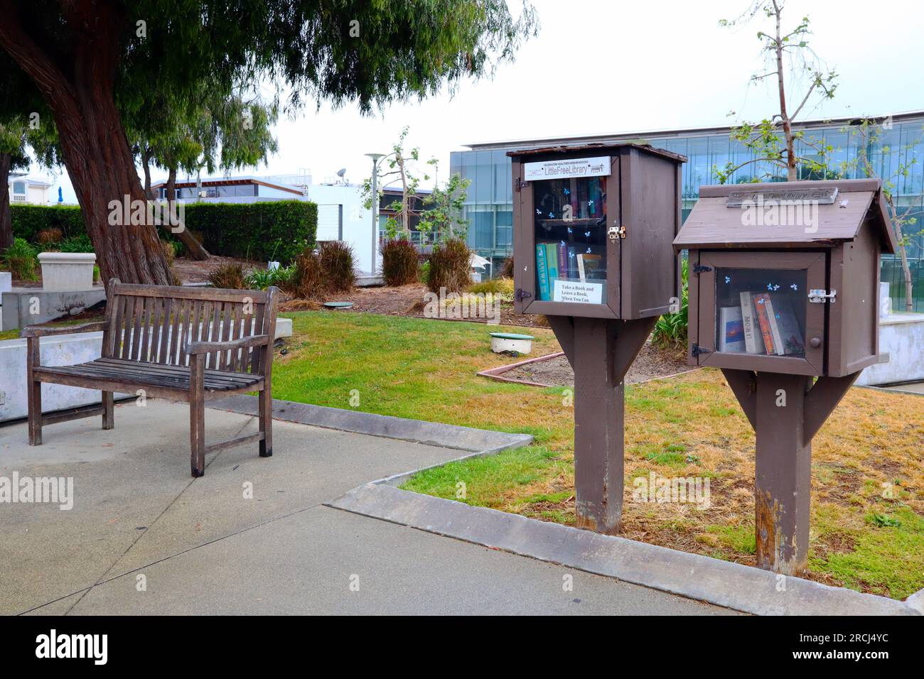 Manhattan Beach, California: Little Free Library book exchange boxes ...