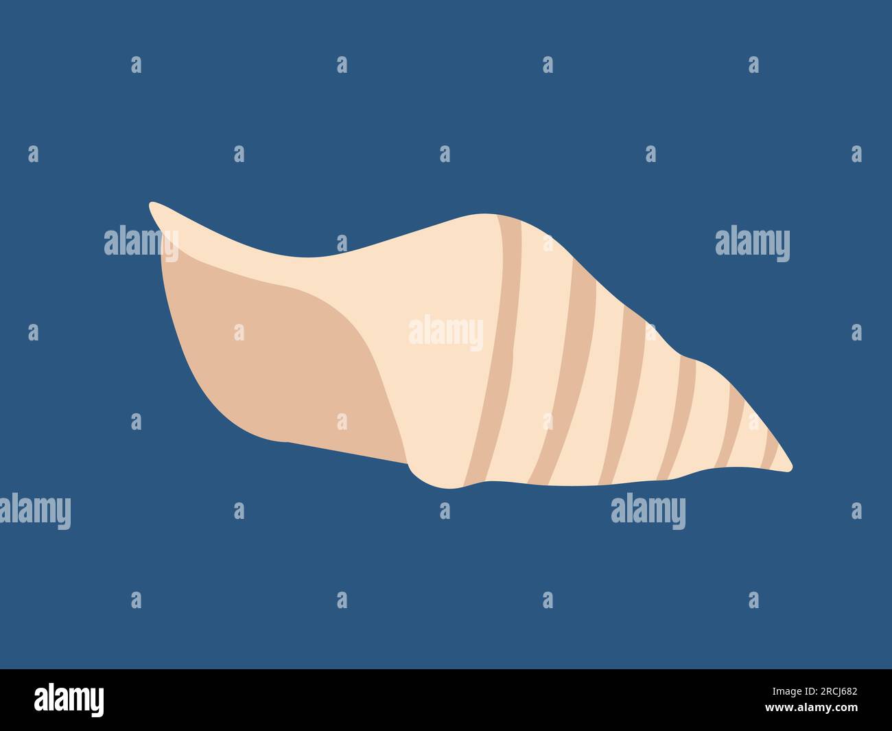 Sea shell vector Stock Vector Image & Art - Alamy